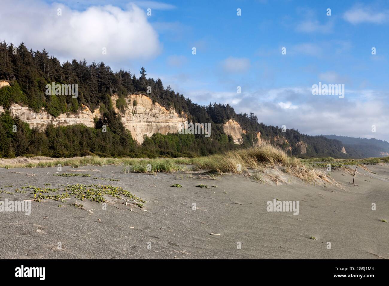 The bluffs rise above Gold Bluffs Beach in Prairie Creek State Redwoods ...