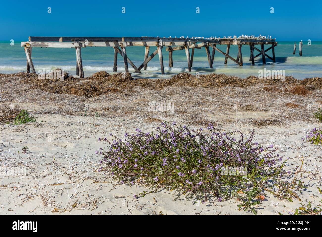 Abandoned jetty hi-res stock photography and images - Alamy
