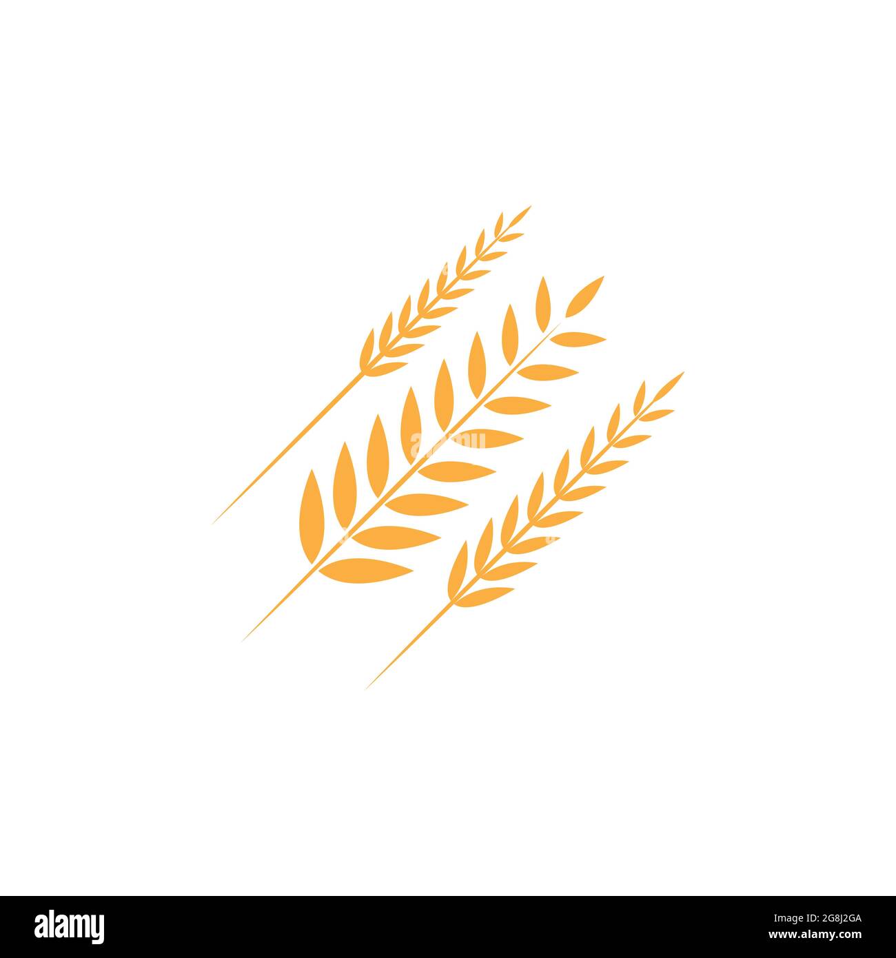 Agriculture wheat rice vector icon design template Stock Vector Image ...