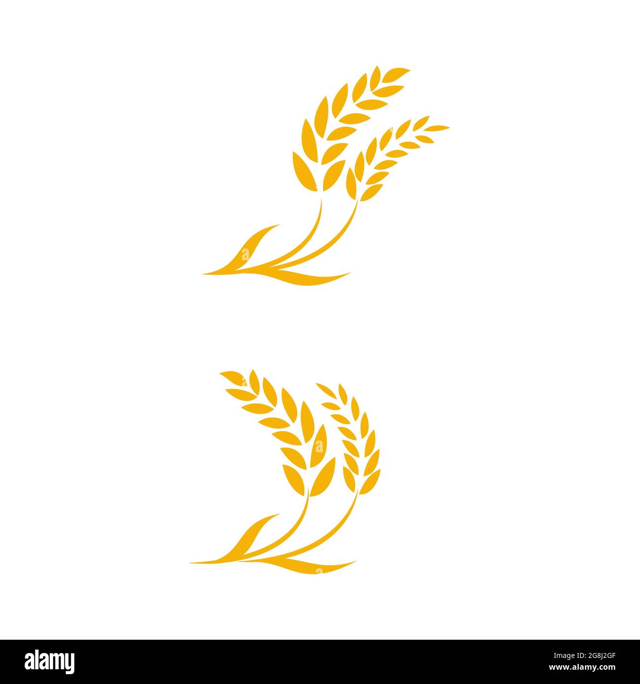 Agriculture wheat rice vector icon design template Stock Vector Image ...