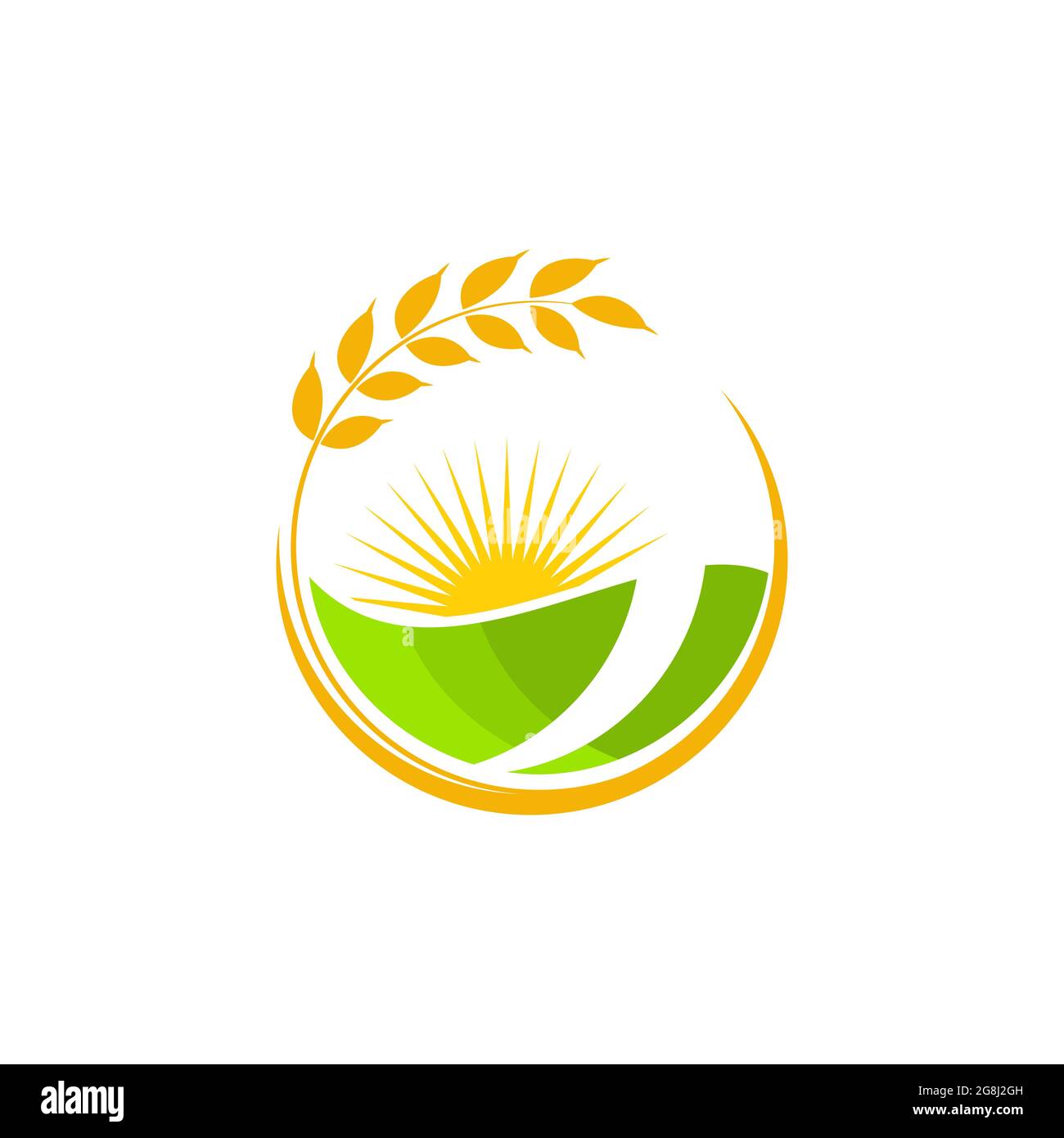 Agriculture wheat rice vector icon design template Stock Vector Image ...