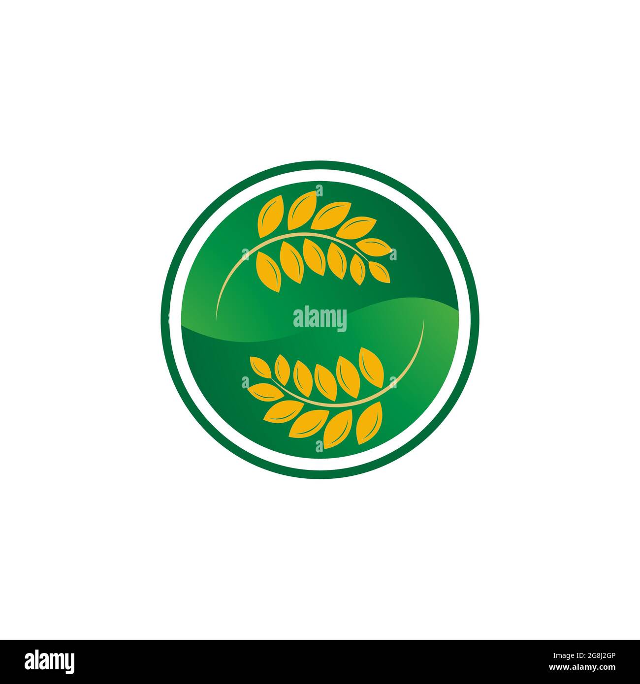 Agriculture wheat rice vector icon design template Stock Vector Image ...