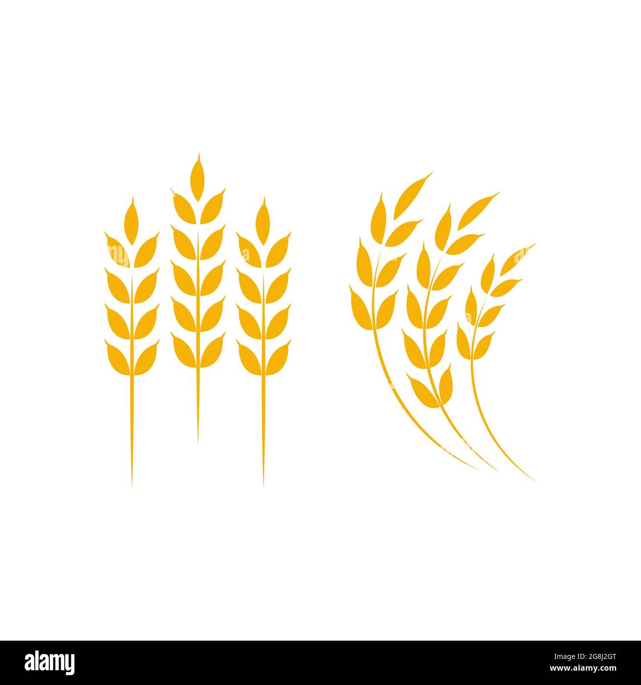 Agriculture wheat rice vector icon design template Stock Vector Image ...
