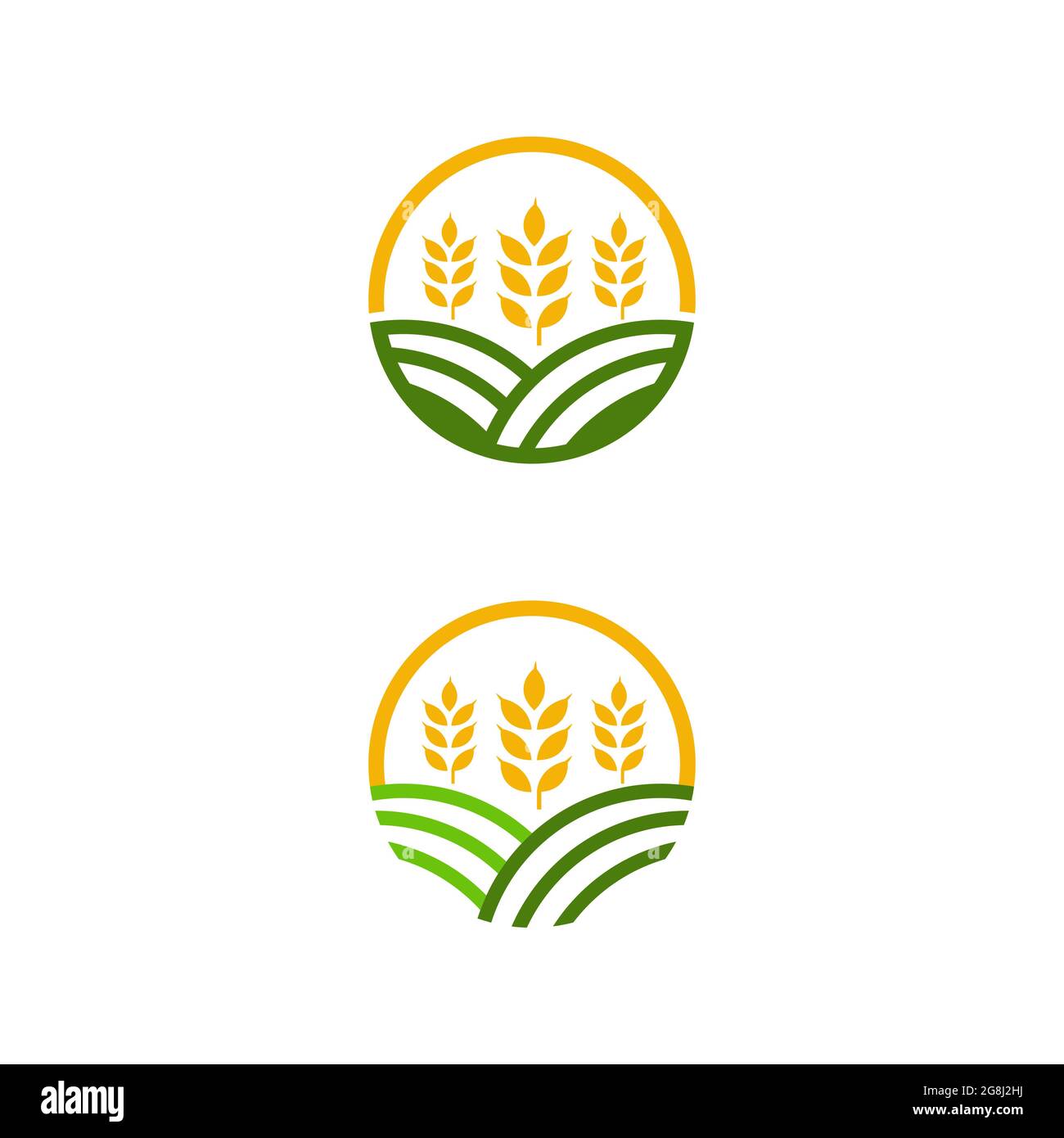 Agriculture wheat rice vector icon design template Stock Vector Image ...