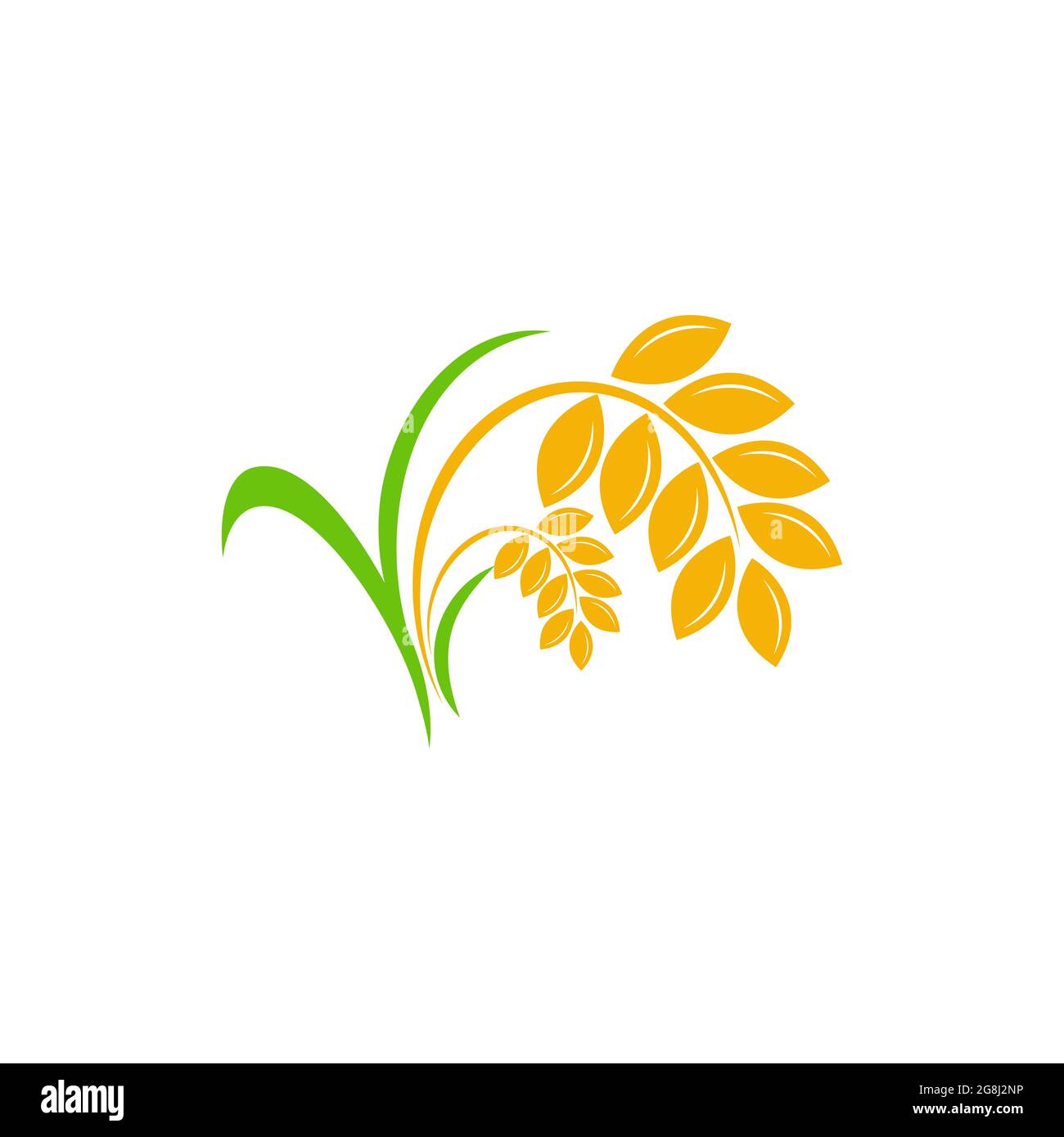 Agriculture wheat rice vector icon design template Stock Vector Image ...