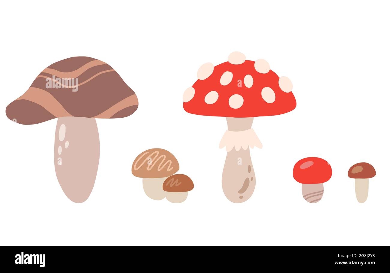 Set of cartoon different mushrooms. Simple flat illustration of fungus ... Set of cartoon different mushrooms. Simple flat illustration of fungus ...