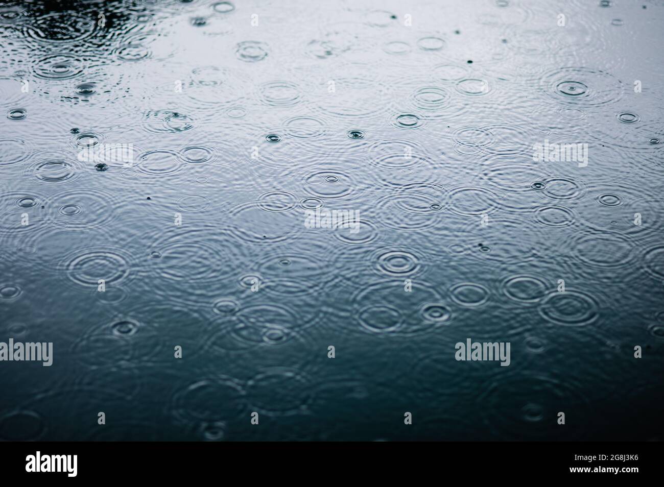 rain drops on the surface of water in a puddle with graduated shade of ...