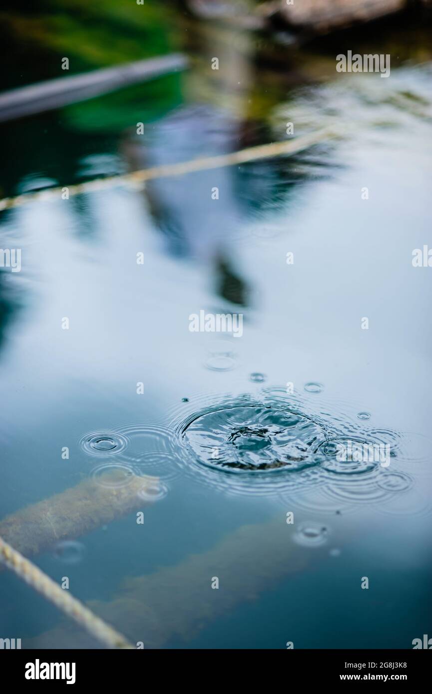 rain drops on the surface of water in a puddle with graduated shade of ...
