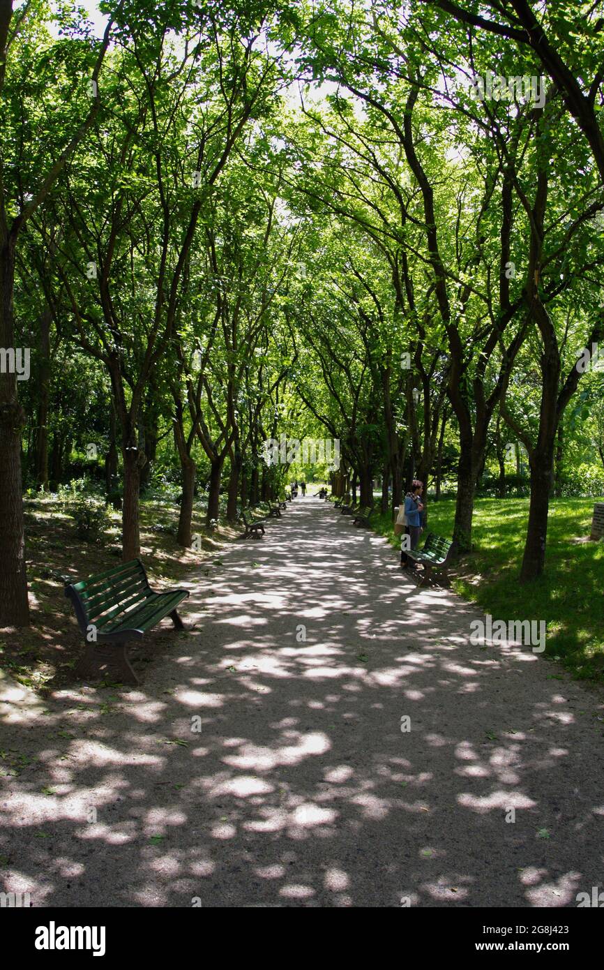 Tree lined pathway in park in Toulouse, France Stock Photo - Alamy