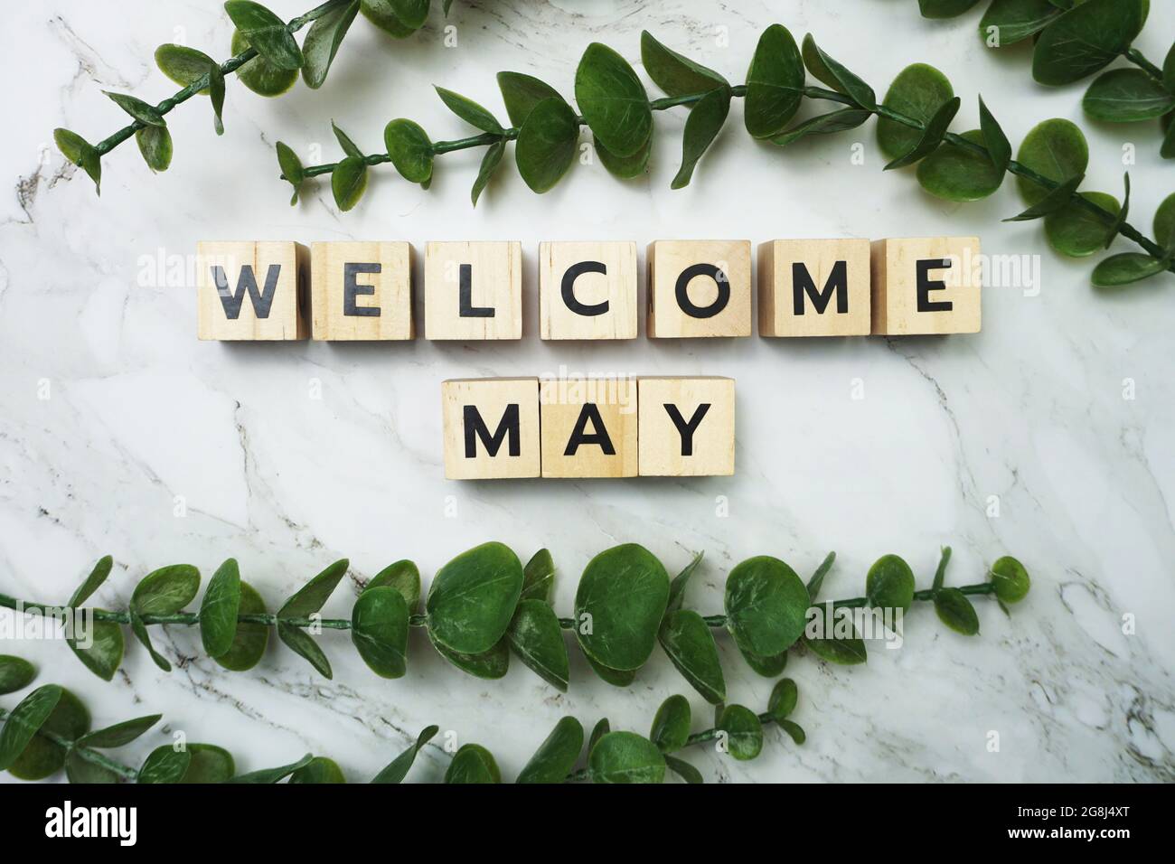 Welcome May alphabet letter with green leave flat lay on marble ...