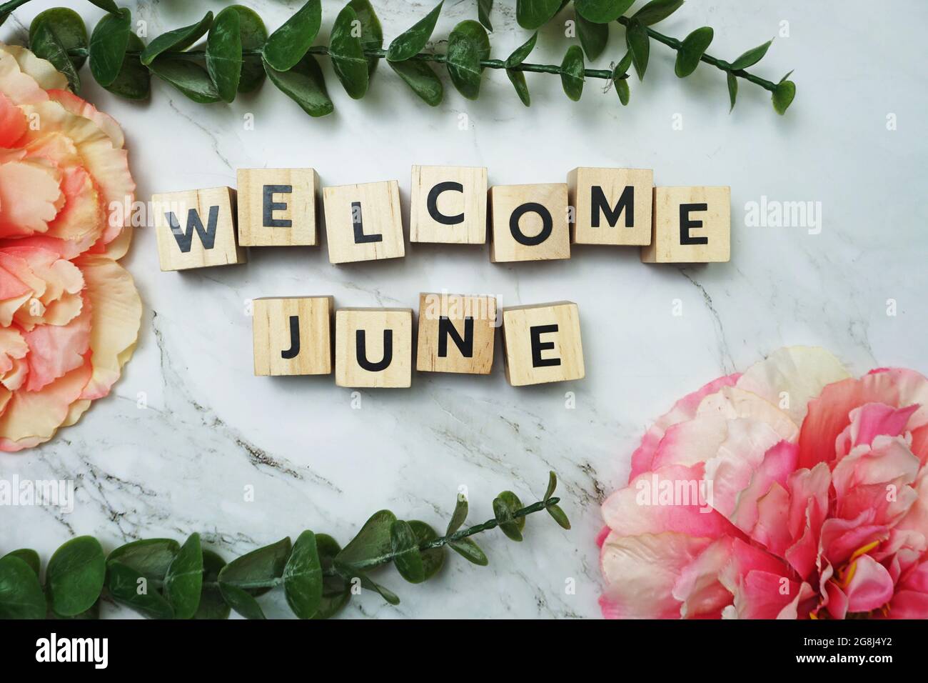Welcome June alphabet letter with green leave and pink flower flat lay ...