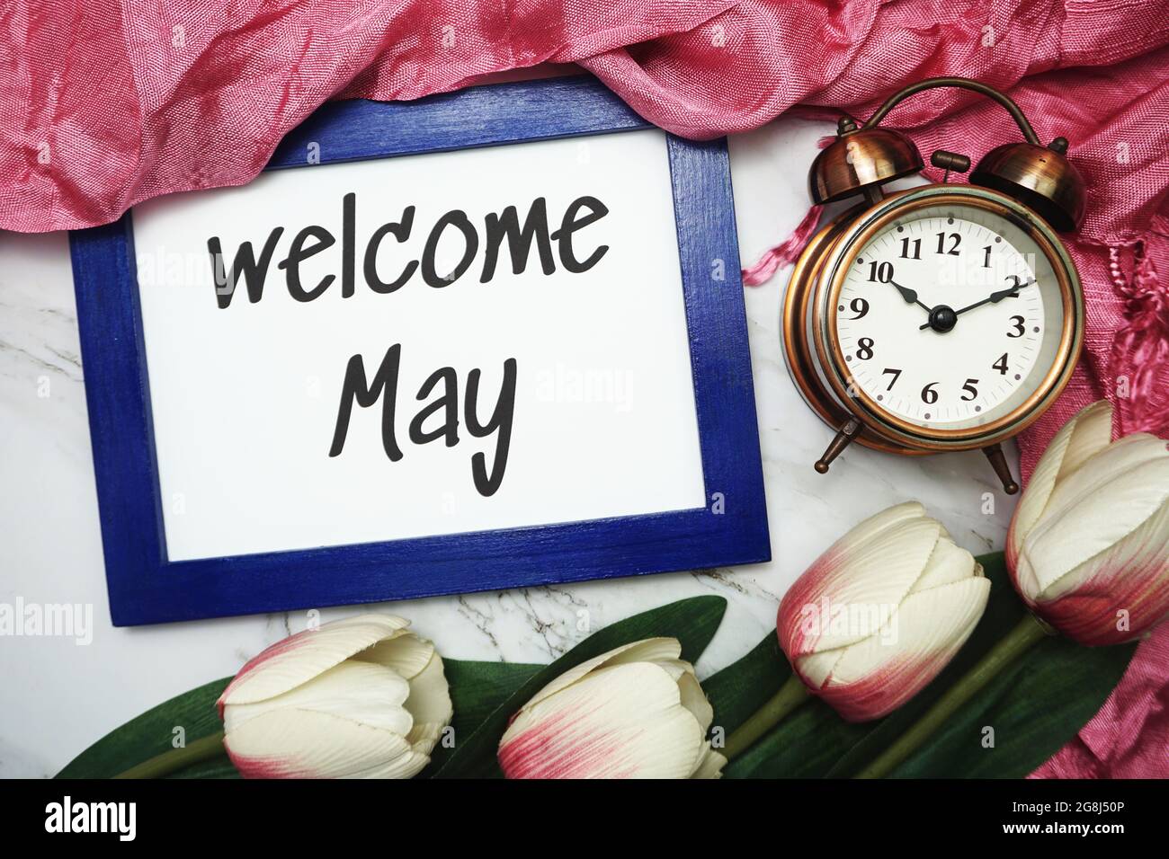 Welcome May written on blue frame with tulip flower flat lay on marble ...