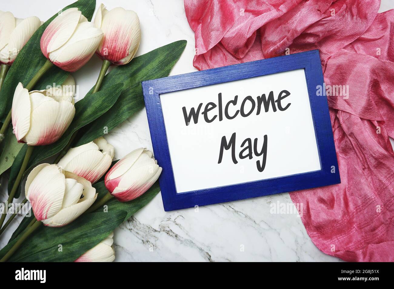 Welcome May written on blue frame with tulip flower flat lay on marble ...