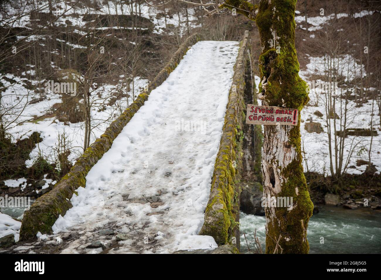 Stone Bridge in the Black Sea, Turkey, Rize, Çinçiva Stock Photo - Alamy