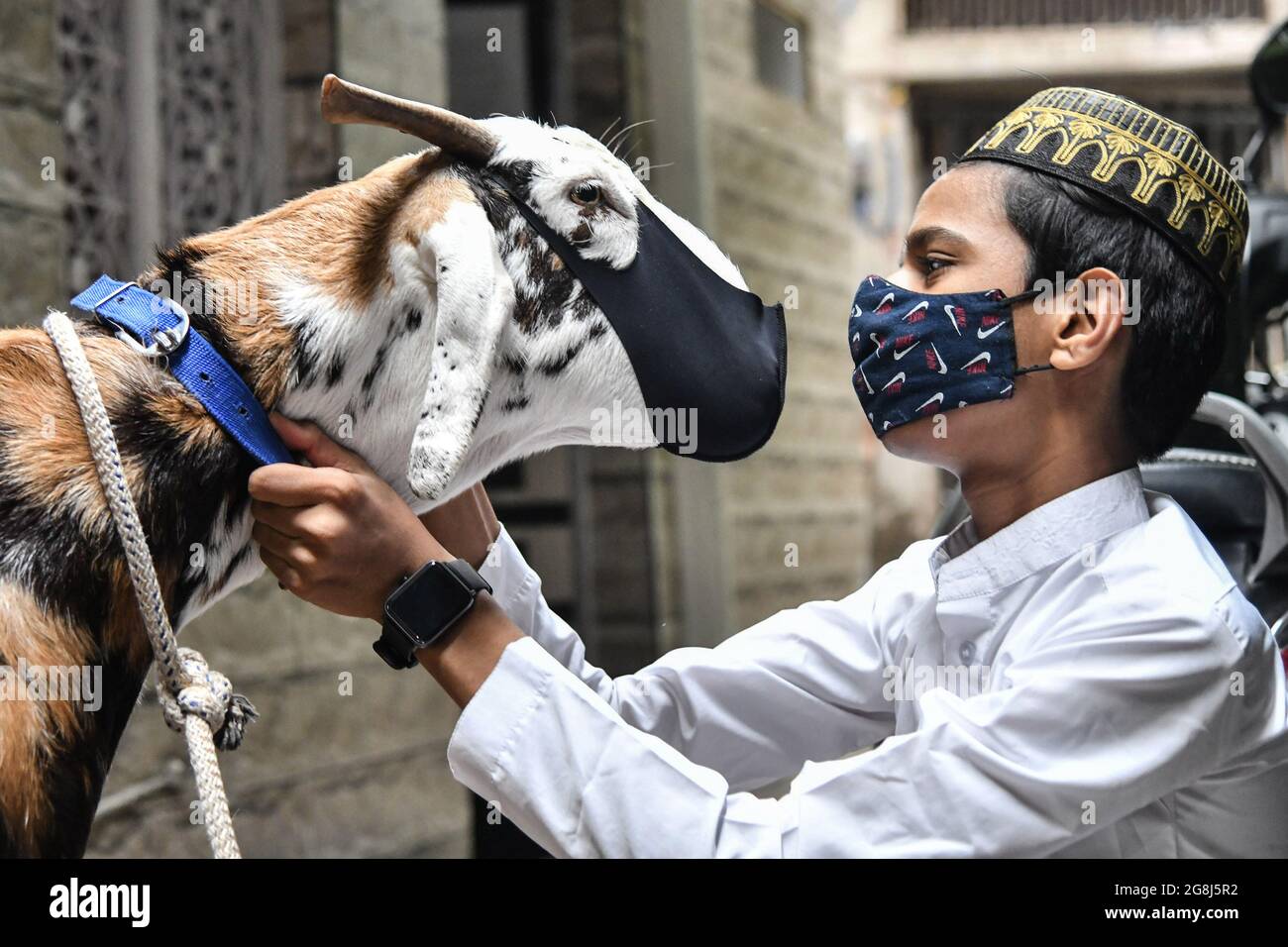 Goats to sell in Bakra Mandi ahead of the Eid-al-Adha Muslim festival ...