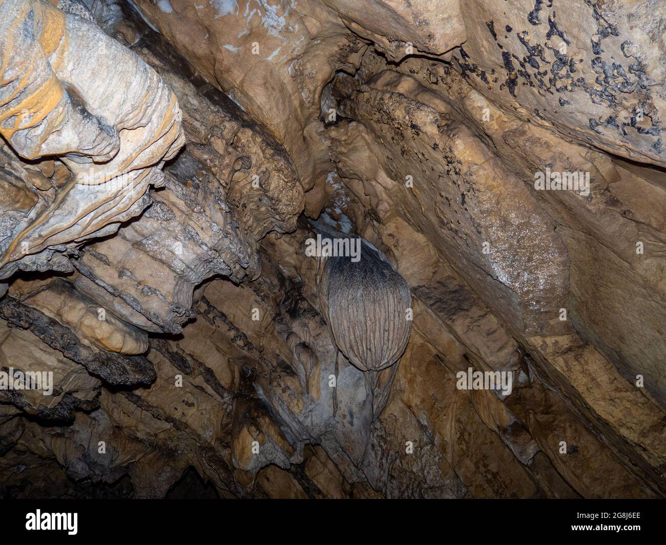 Caras severin hi-res stock photography and images - Alamy