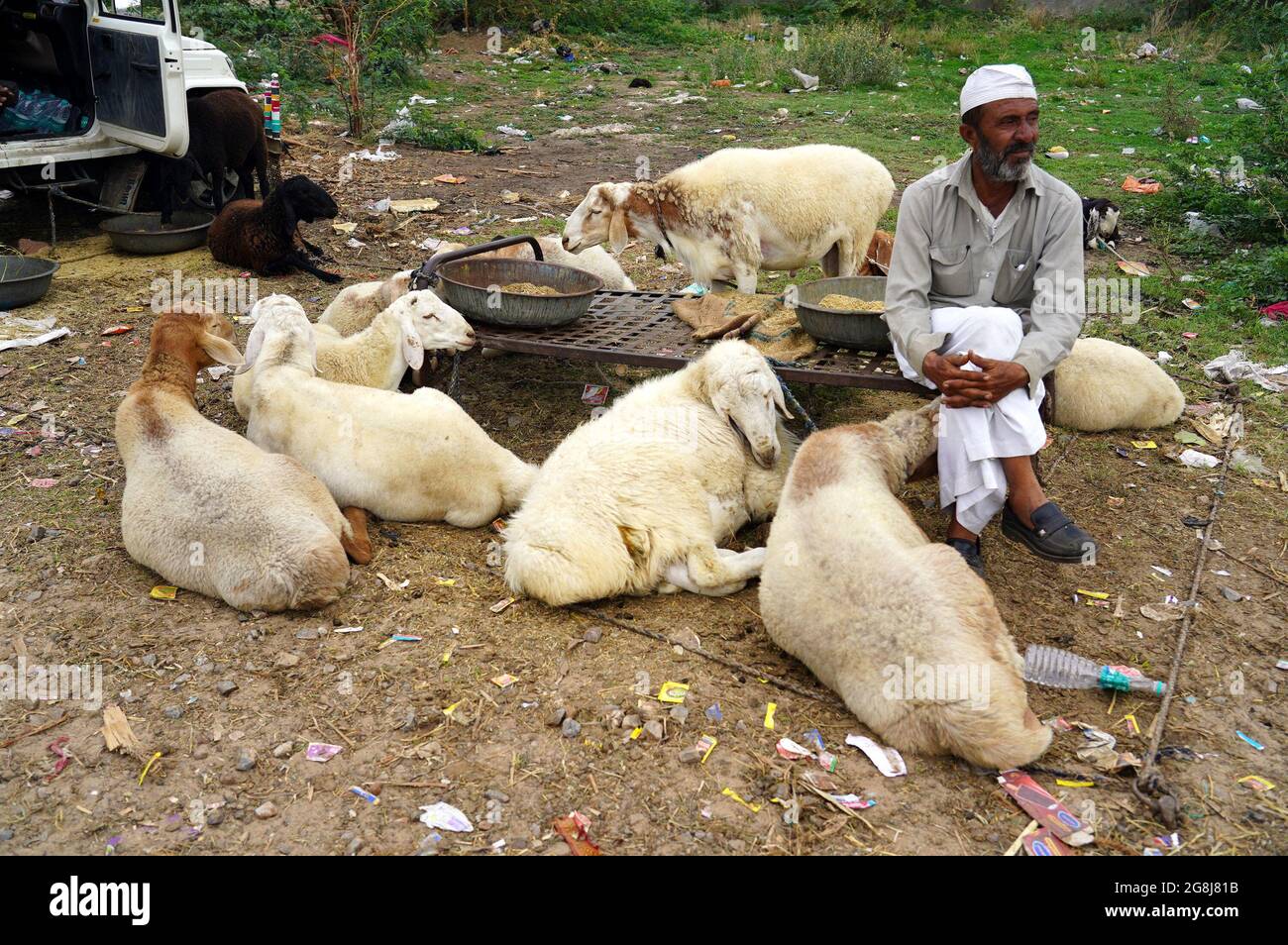 Livestock vendors wait for customers with their goats for sell along a ...