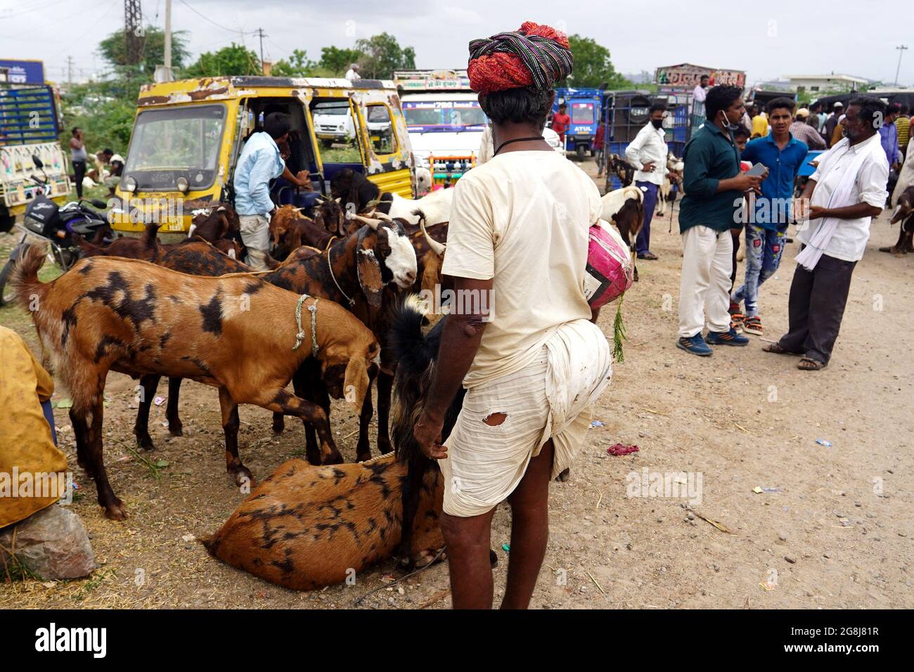 Livestock vendors wait for customers with their goats for sell along a ...