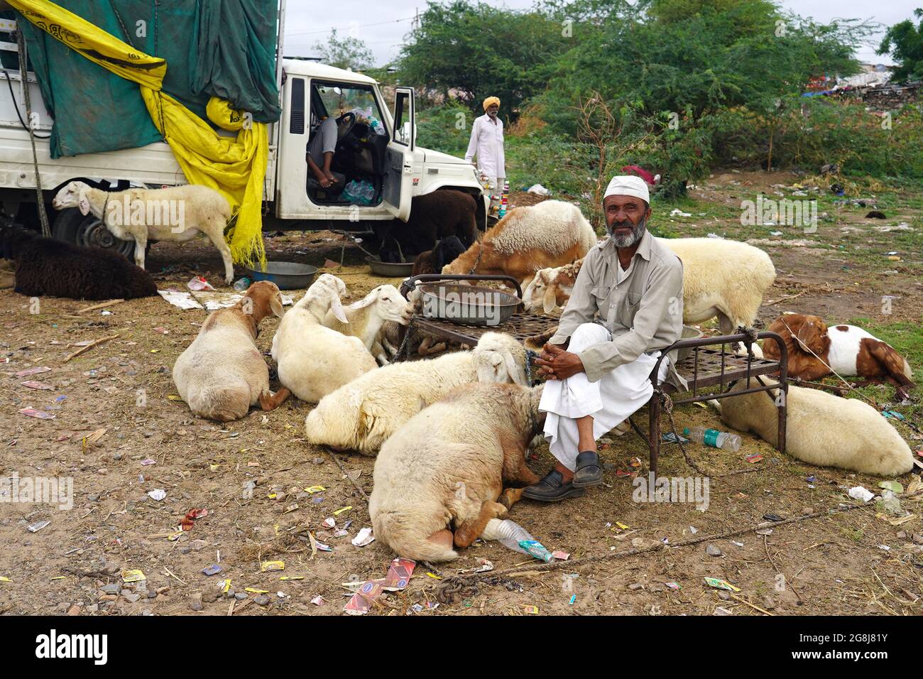 Livestock vendors wait for customers with their goats for sell along a ...