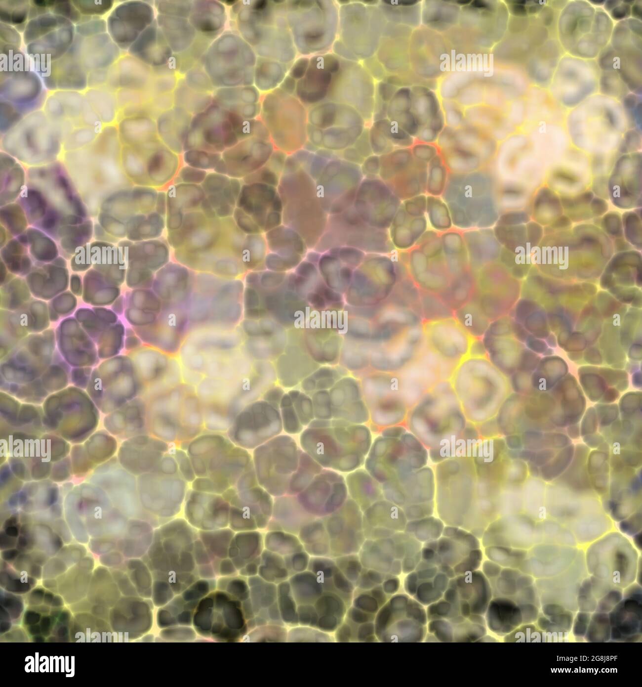 Lichen, Mushroom, Fungus family of different colors as organic seamless ...