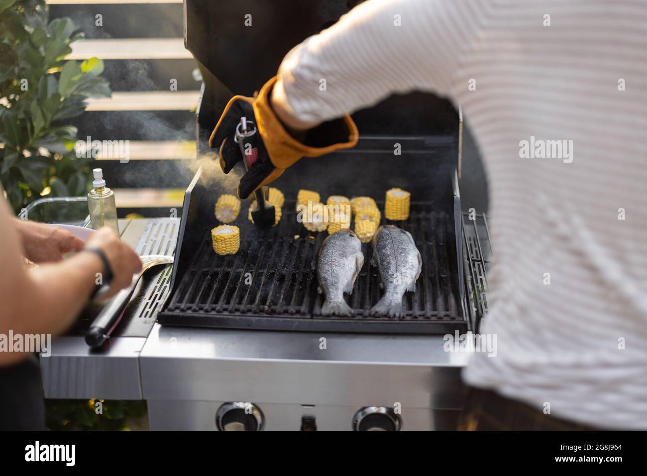 Grilling fish and corn on a grill Stock Photo - Alamy