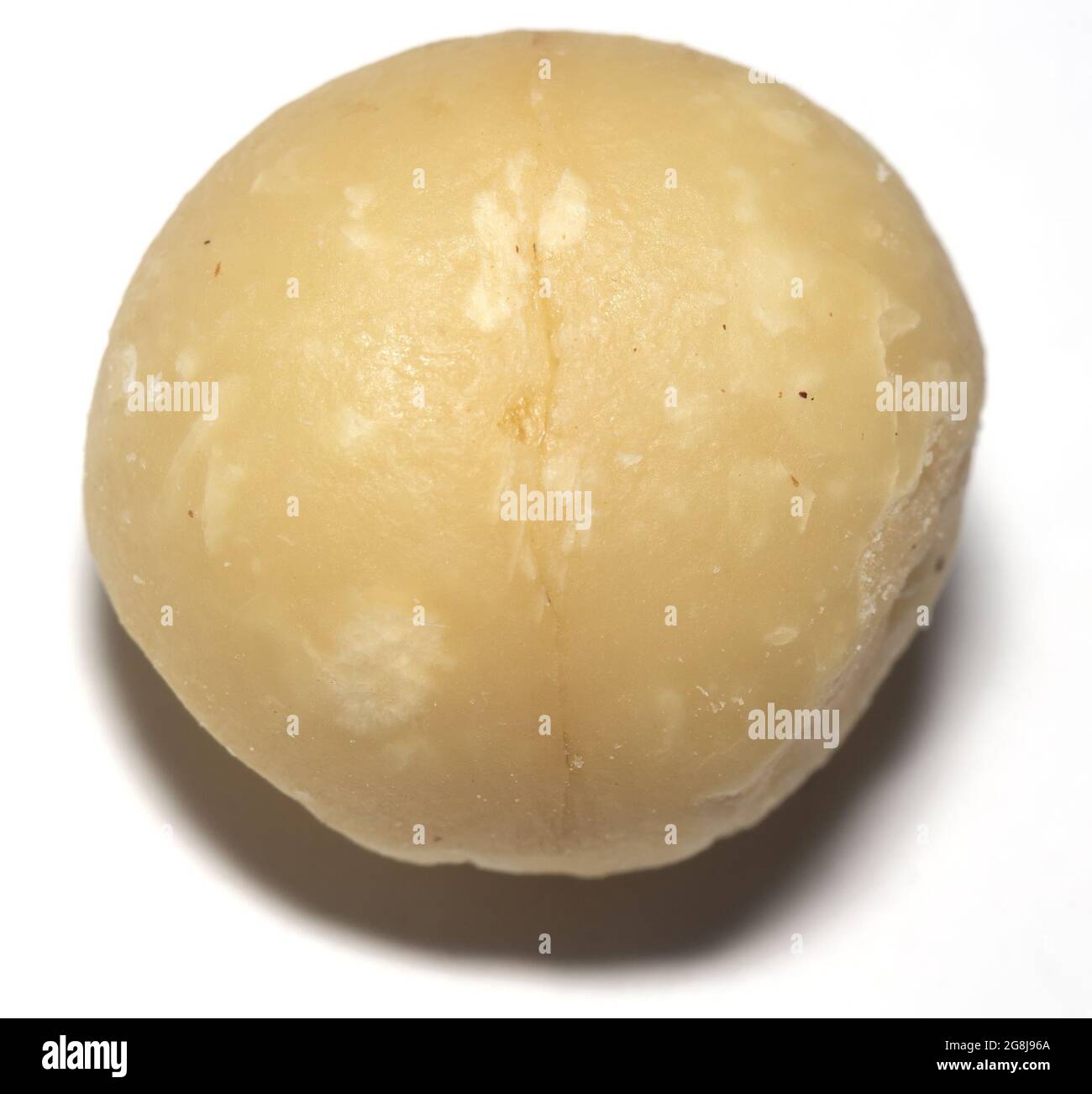 Peeled fresh macadamia nuts close up background Stock Photo - Alamy