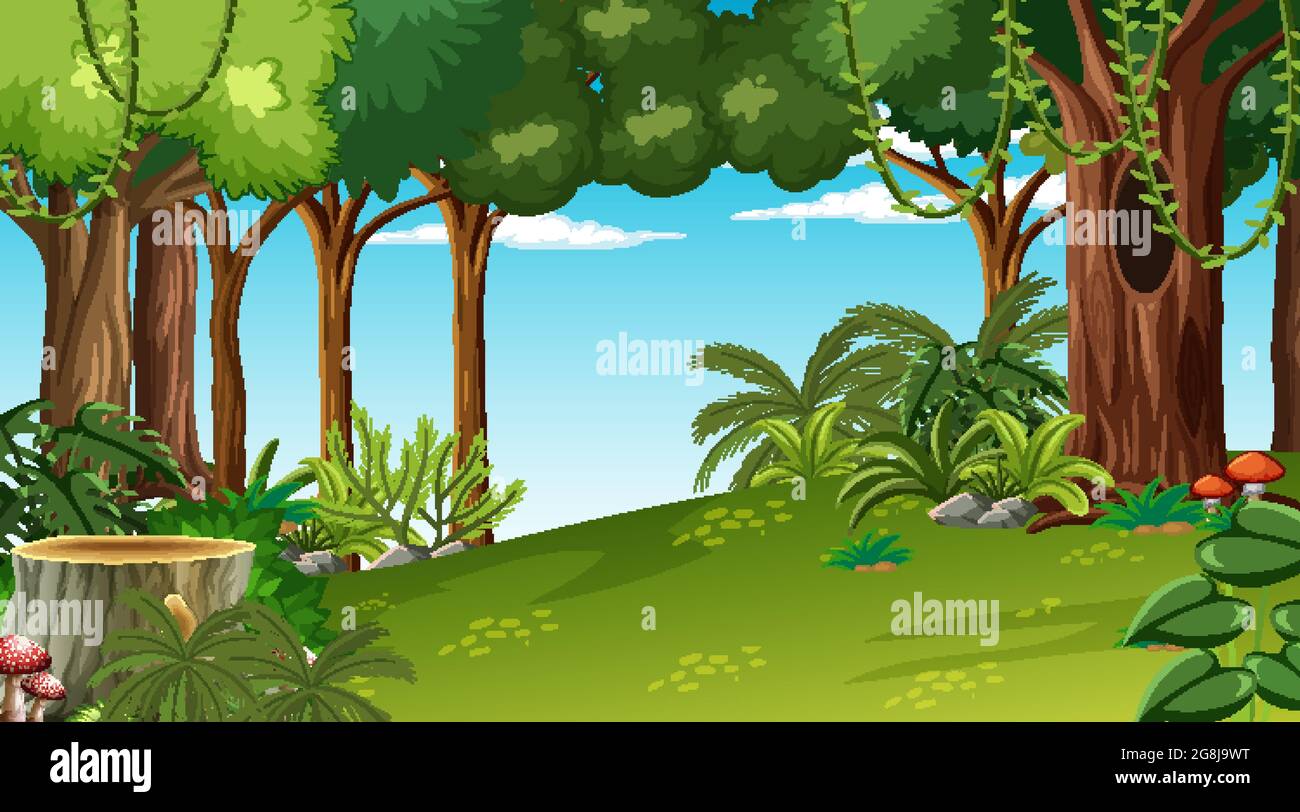 Forest at daytime scene with various forest plant and tree illustration ...