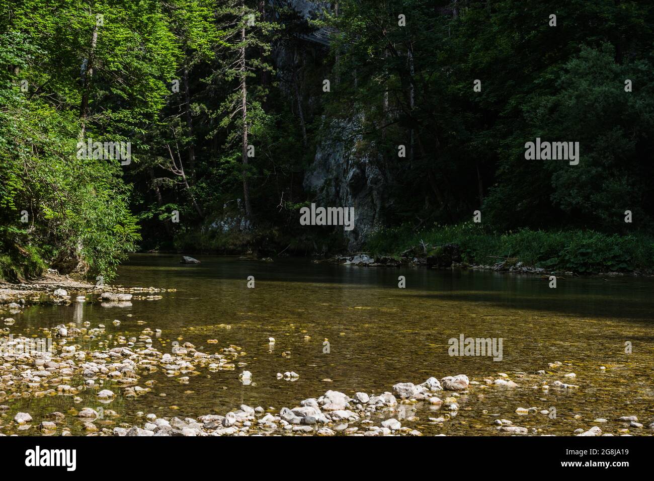 cold clean shallow water from a brook in the summer Stock Photo - Alamy