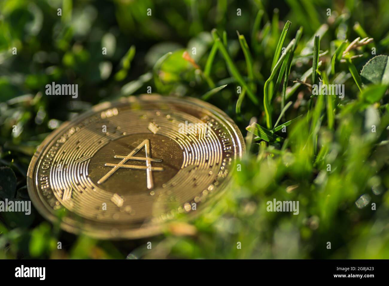 Cardano coin hi-res stock photography and images - Alamy
