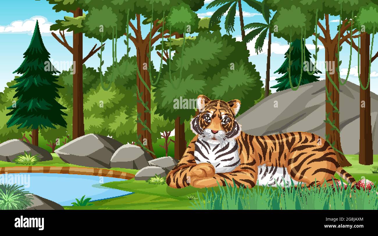 A tiger in forest or rainforest scene with many trees illustration ...