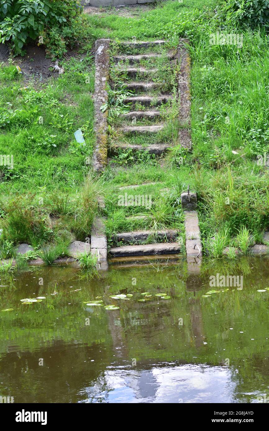 Overgrown slope hi-res stock photography and images - Alamy