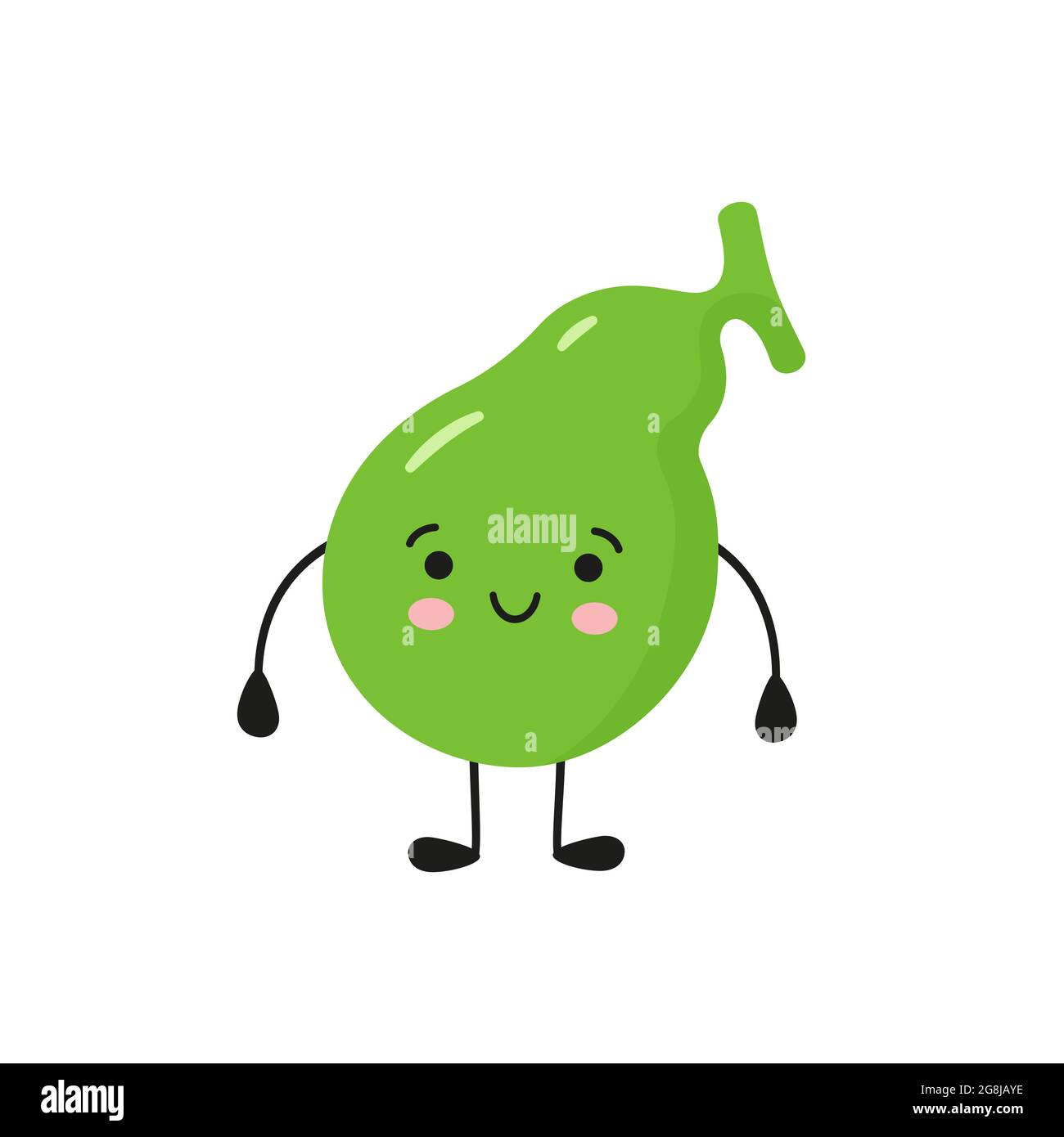 Cartoon Gallbladder