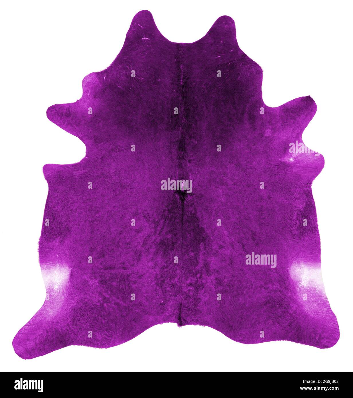 Isolated picture of a dyed cow skin on a white background - Floor ...