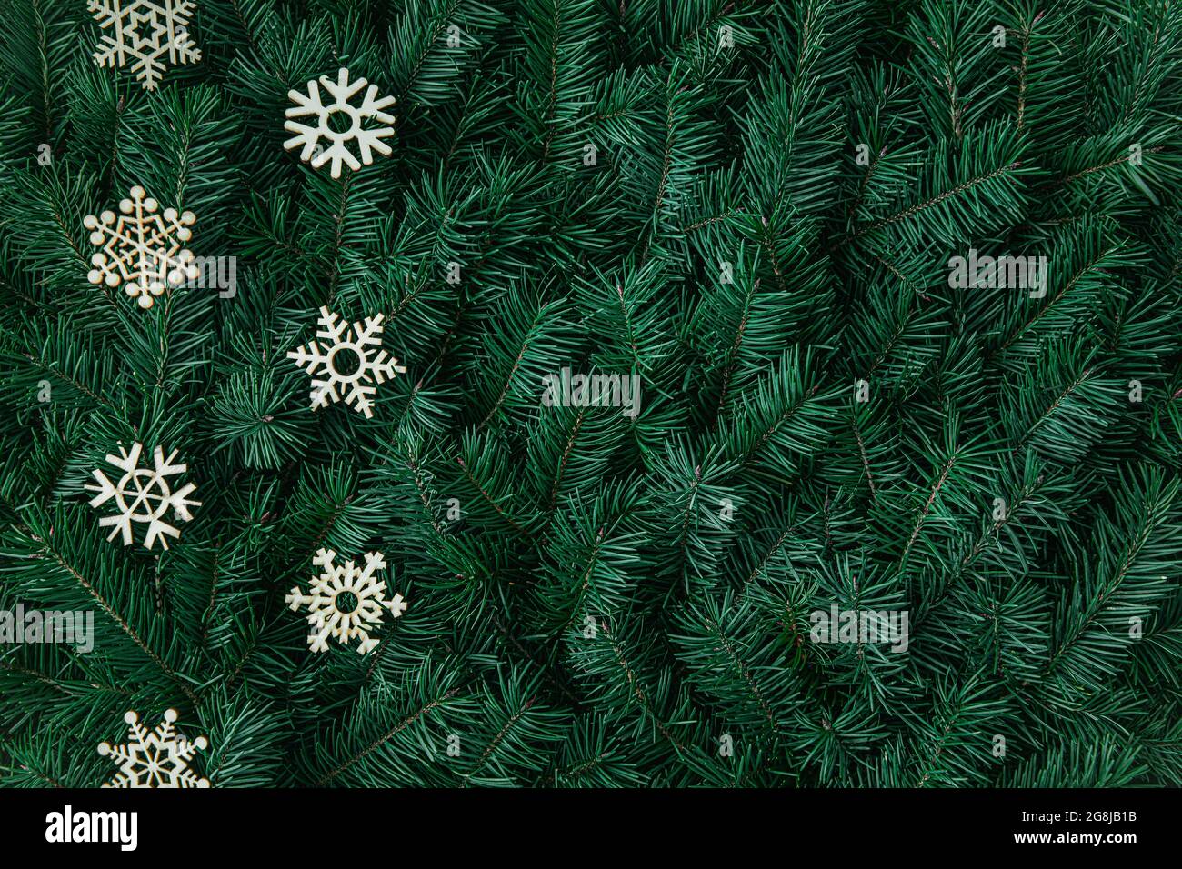 Tree winter texture hi-res stock photography and images - Alamy