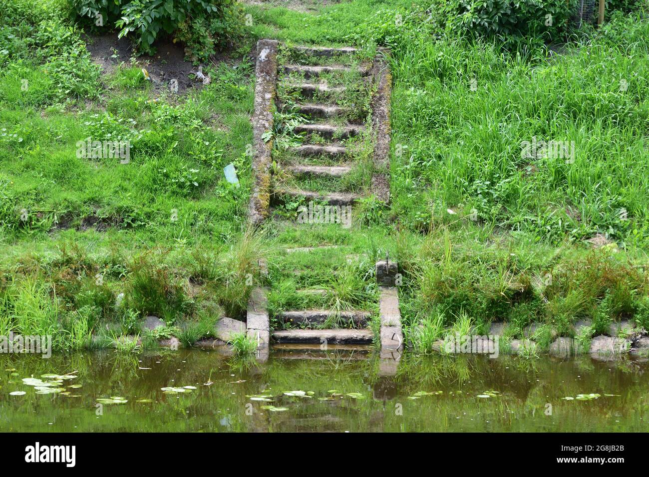Old stone wall overgrown grass hi-res stock photography and images - Alamy