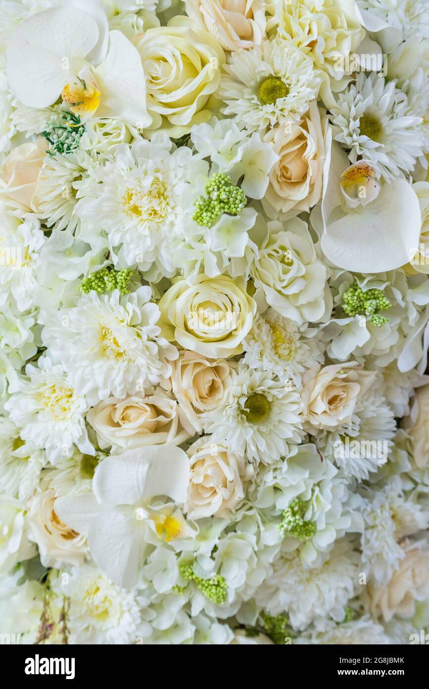 bouquet with white rose bush, as a background Stock Photo - Alamy
