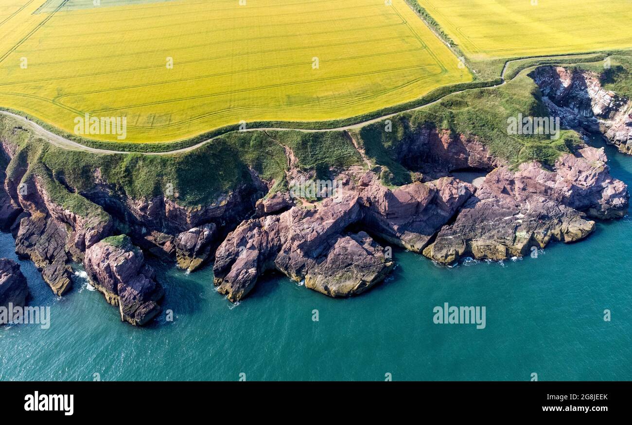 The Arbroath Cliffs under which is a network of caves along the Angus ...