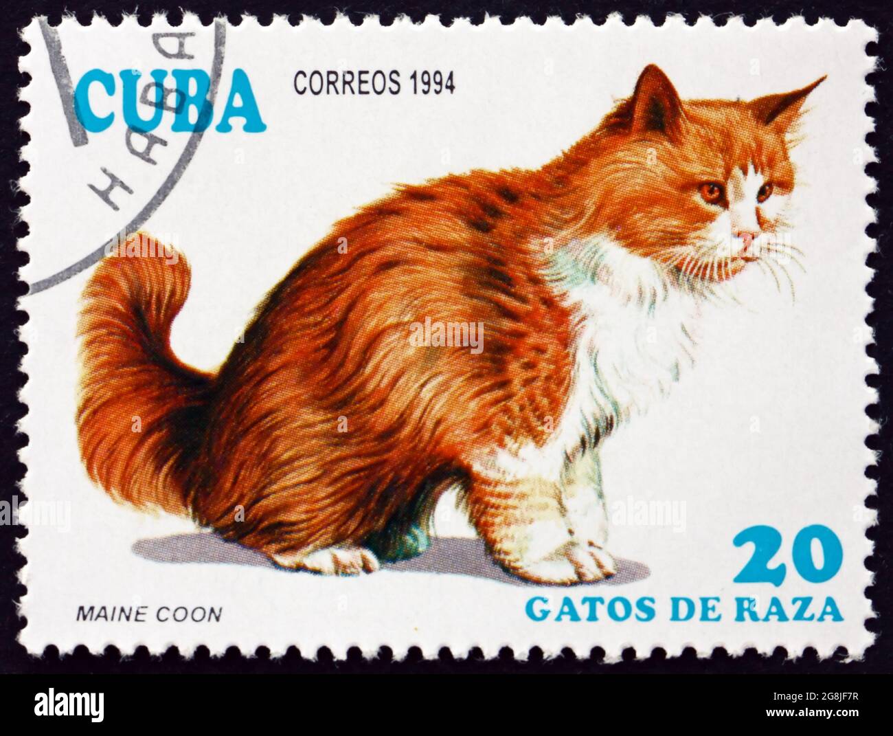 CUBA - CIRCA 1994: a stamp printed in Cuba shows Maine coon ...