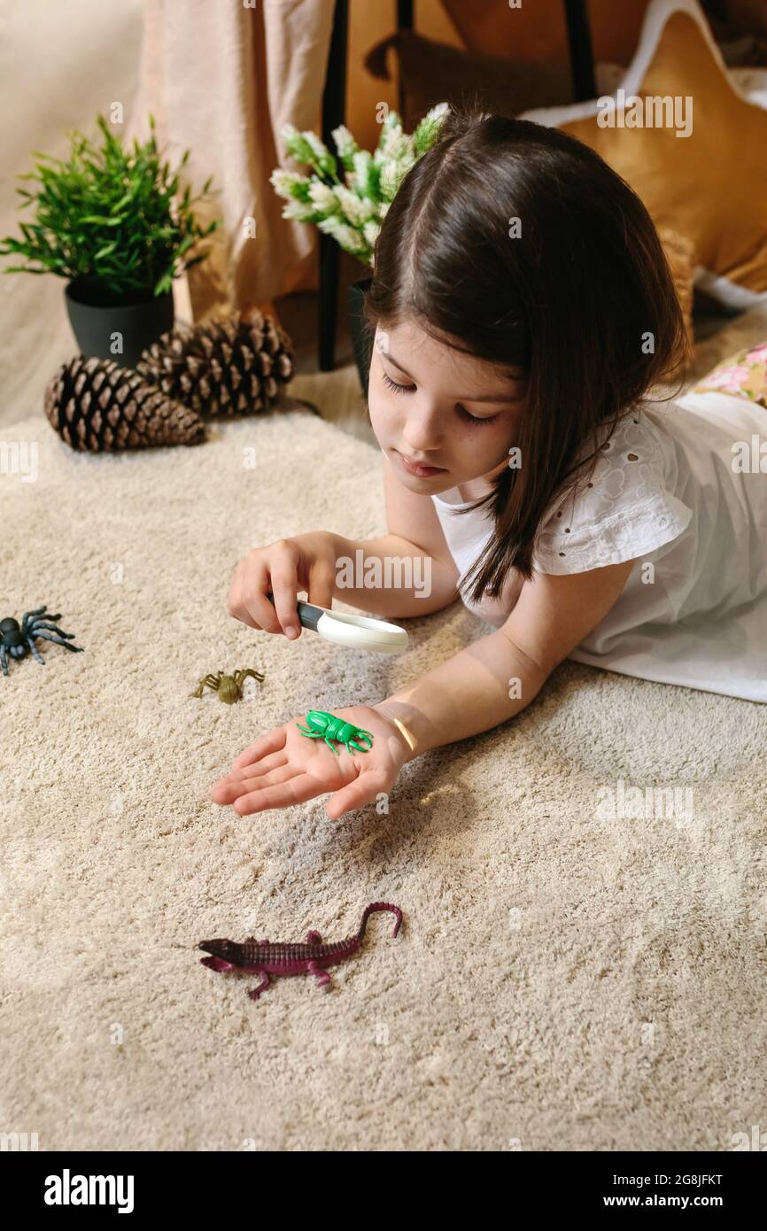 Girl playing observing toy bugs with a magnifying glass Stock Photo - Alamy