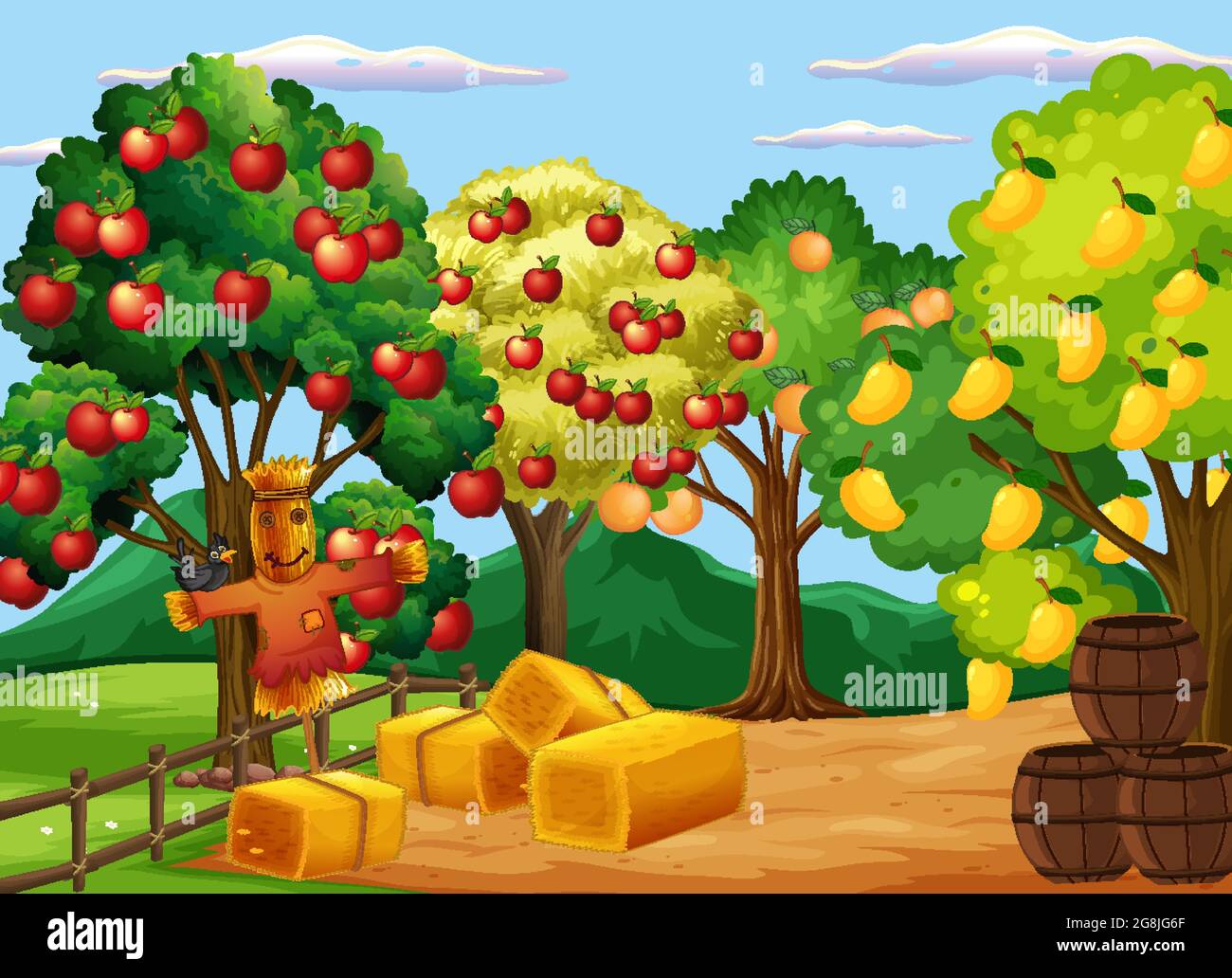 Series of mango trees hi-res stock photography and images - Alamy