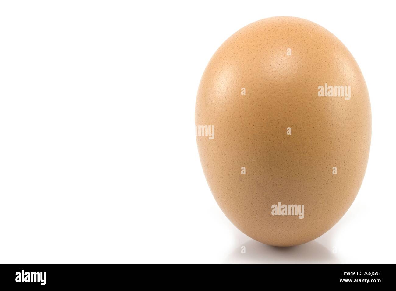 Single brown chicken egg hi-res stock photography and images - Alamy