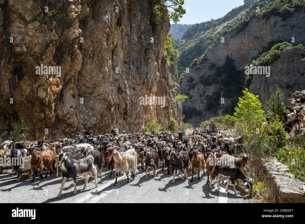 Lagadha pass hi-res stock photography and images - Alamy