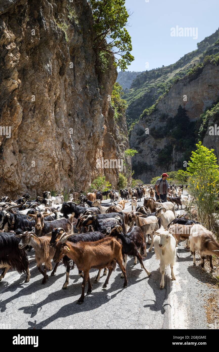 Lagadha pass hi-res stock photography and images - Alamy