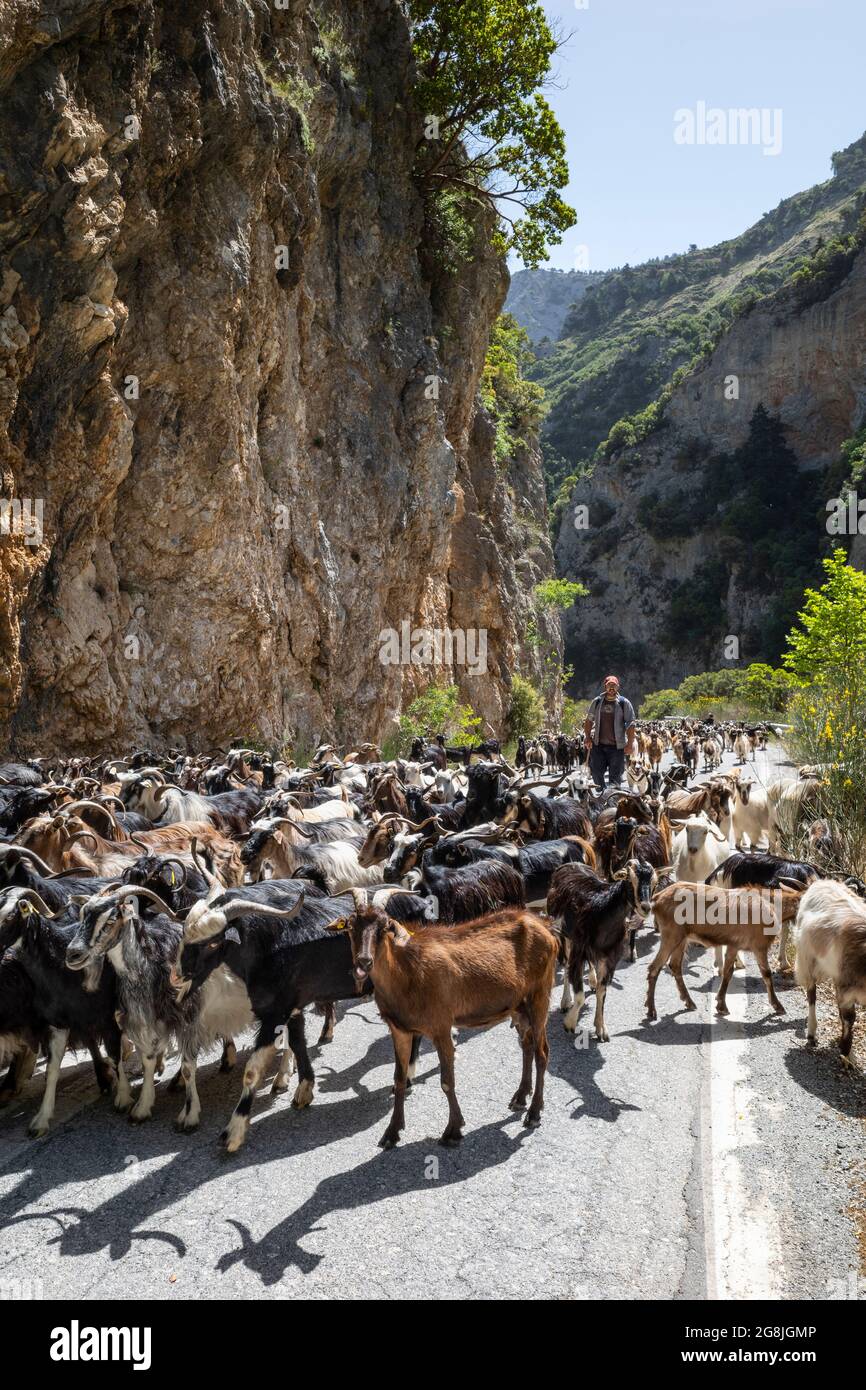 Lagadha pass hi-res stock photography and images - Alamy