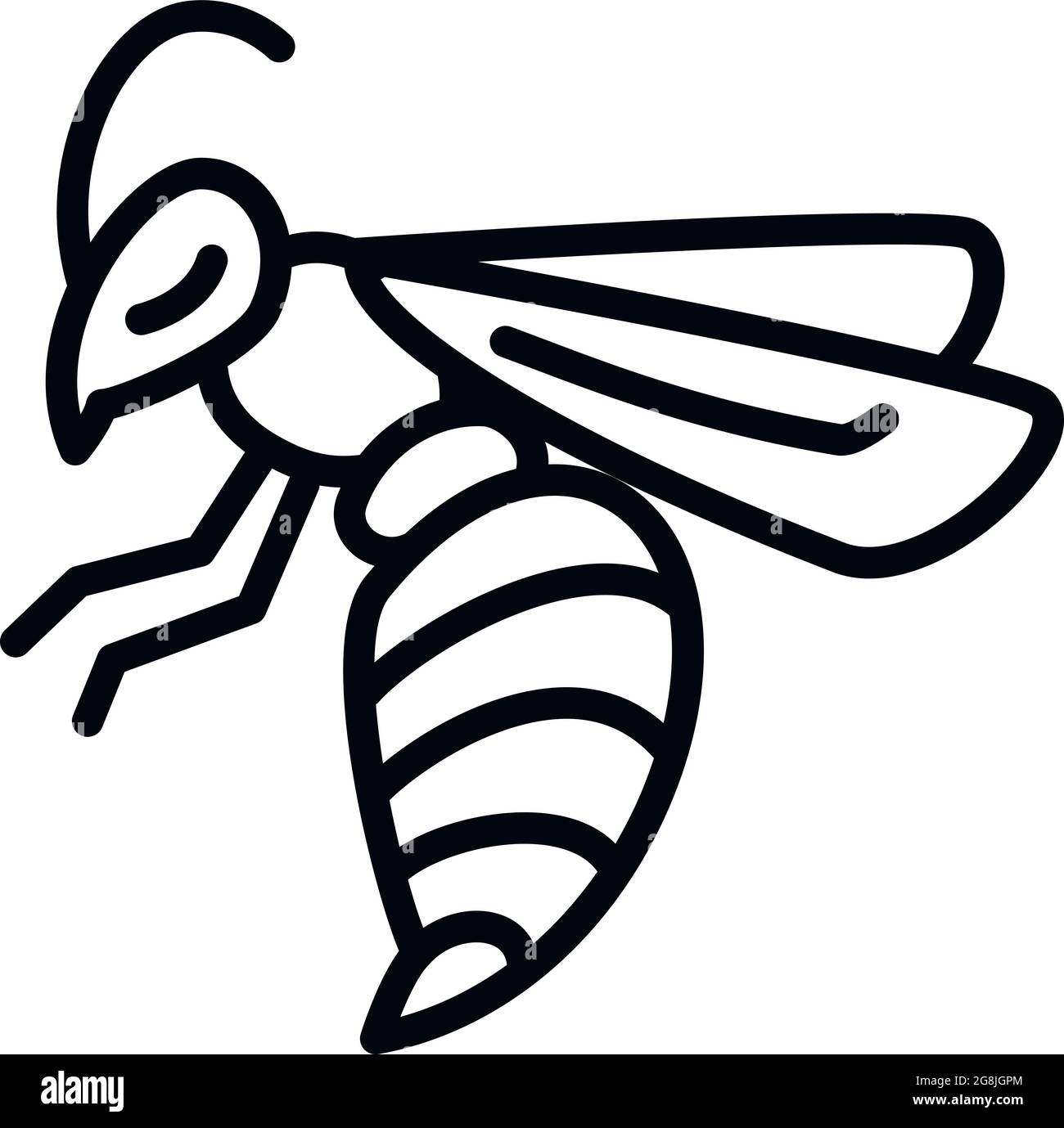 Black And White Wasp