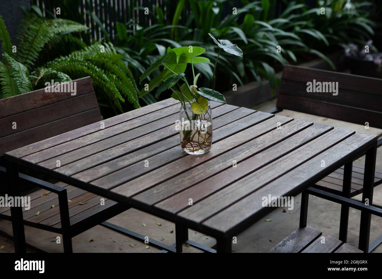 Patio table with flower pots hi-res stock photography and images - Alamy