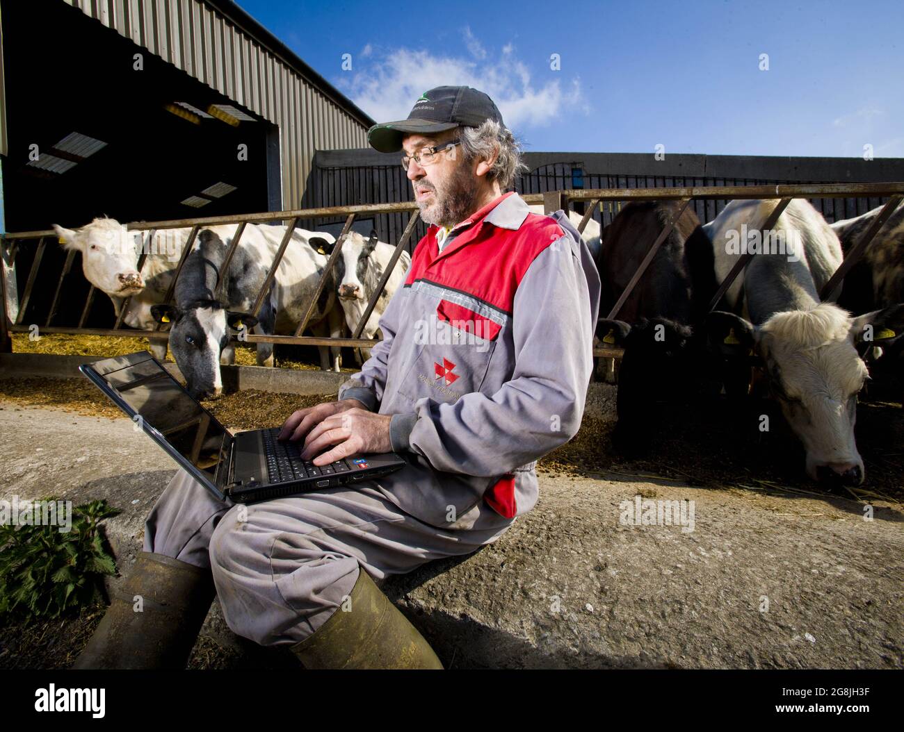 Halifax farmer Frank Chislett uses a laptop under the watchful eyes of ...
