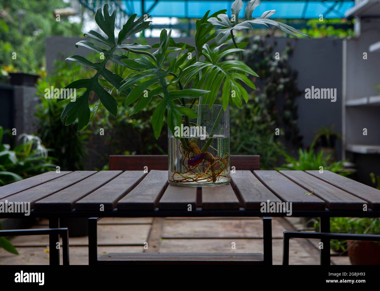 Patio table with flower pots hi-res stock photography and images - Alamy