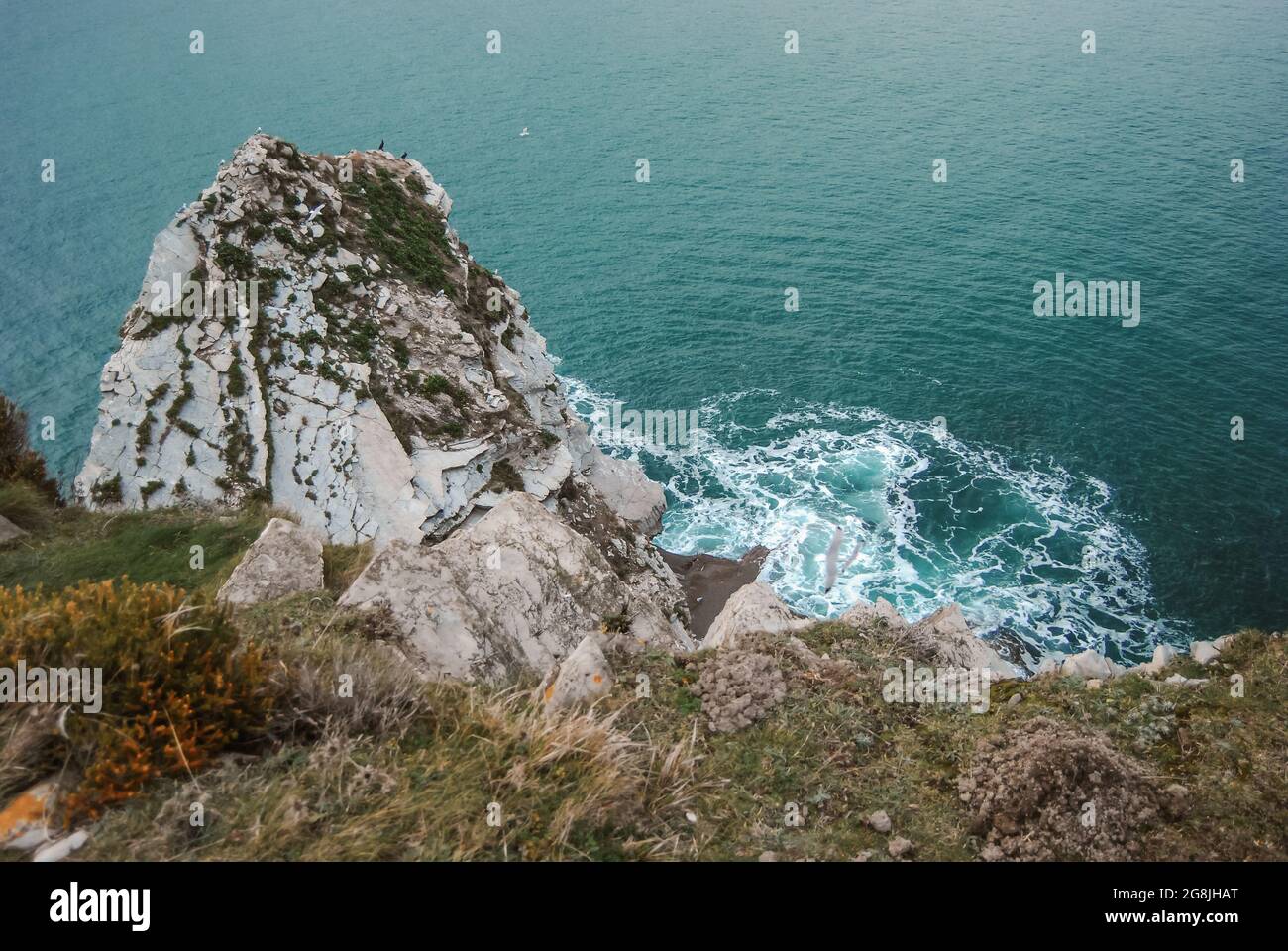 Beautiful view of a small cliff next to the sea surounded by green ...
