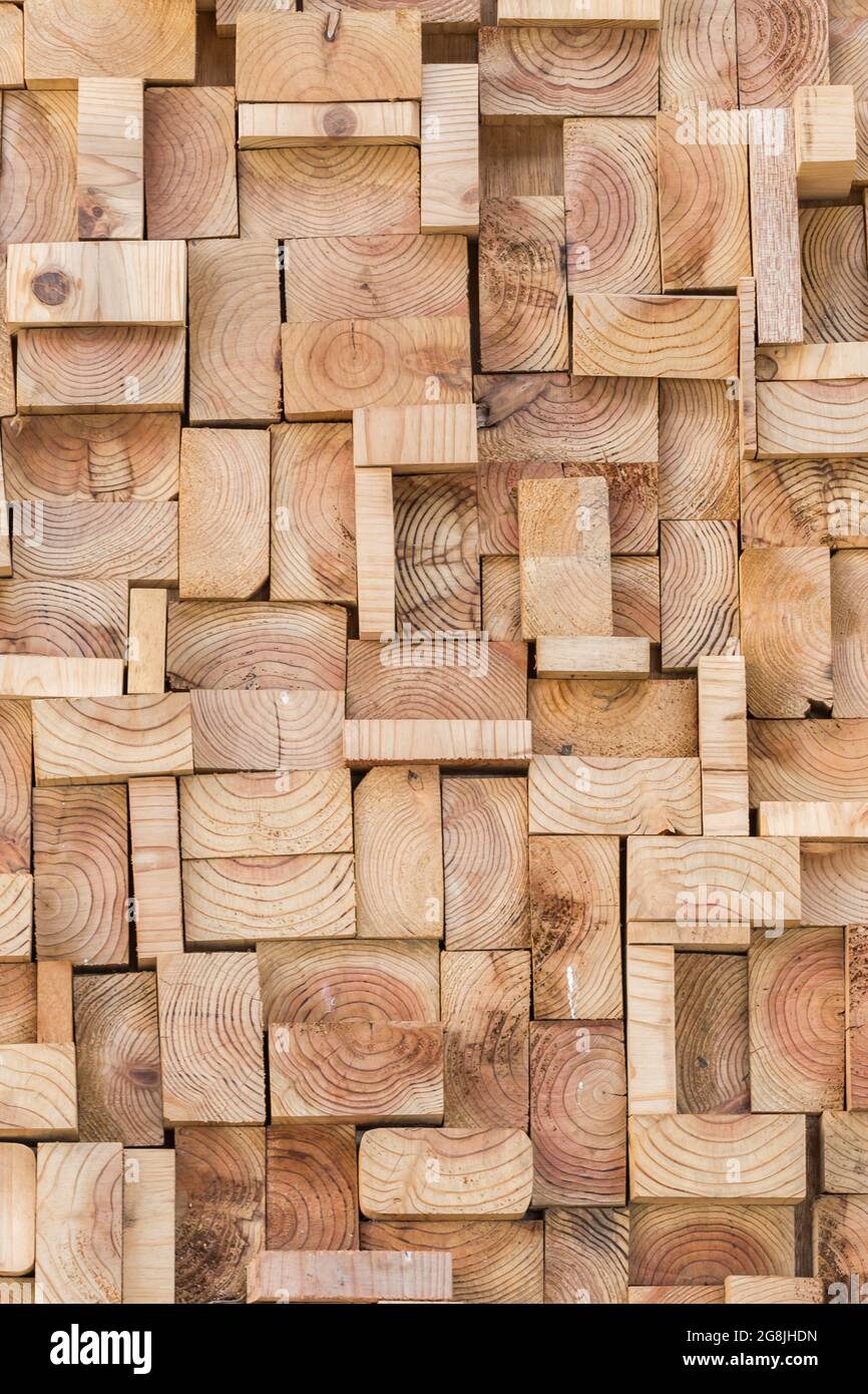 close-up of Wood texture of cut tree trunk for background Stock Photo ...